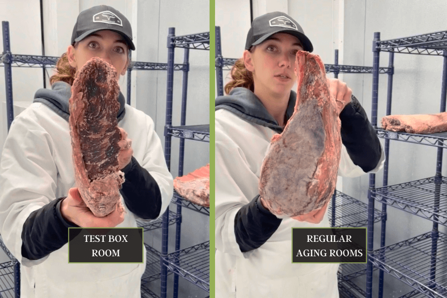 Mold Used in Dry Aging Beef
